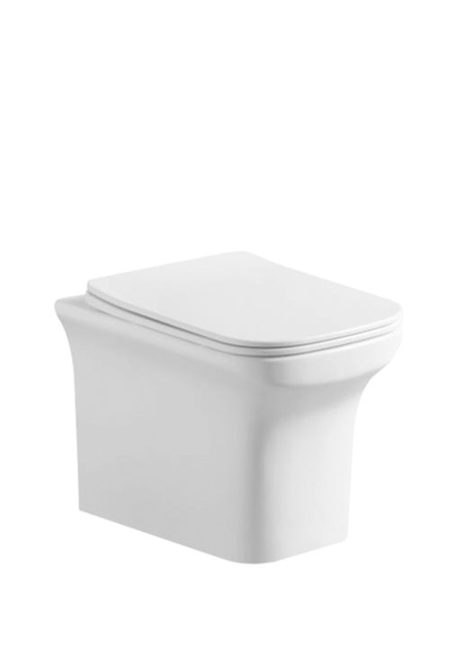 Parryware Apollo Rimless Wall Hung Dual Flush Commode | C8959 ...